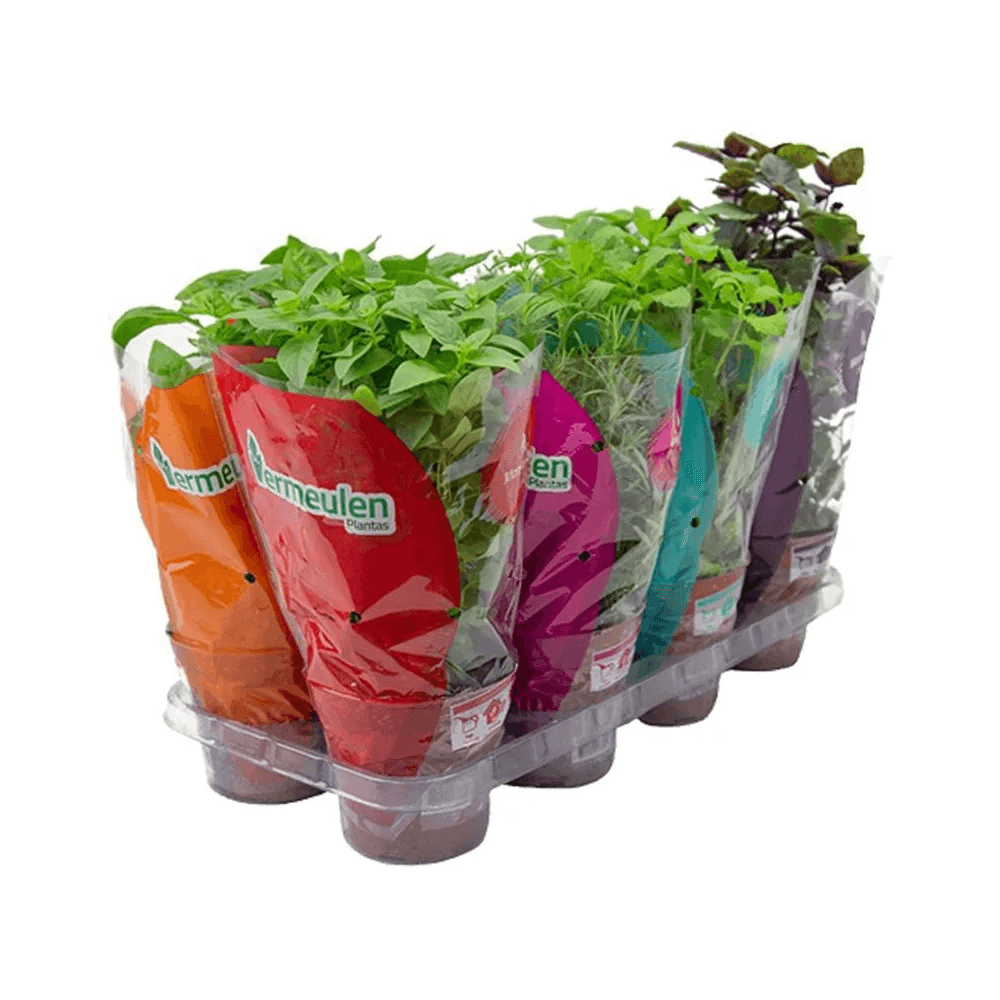 Temperos frescos e naturais para realçar o sabor das suas receitas ...