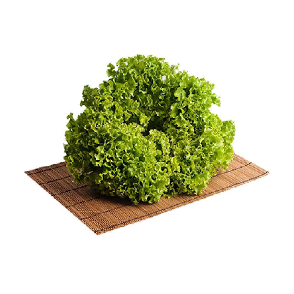 ALFACE | Oba Hortifruti